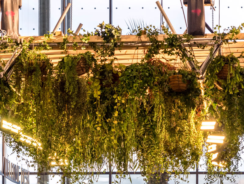 EnerGaïa, the Renewable Energy Forum